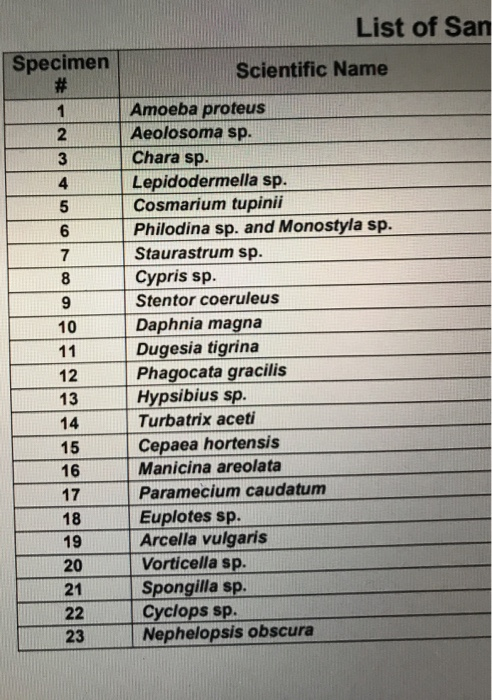 List of San Specimen # Scientific Name 1 2 3 4 5 6 7 | Chegg.com