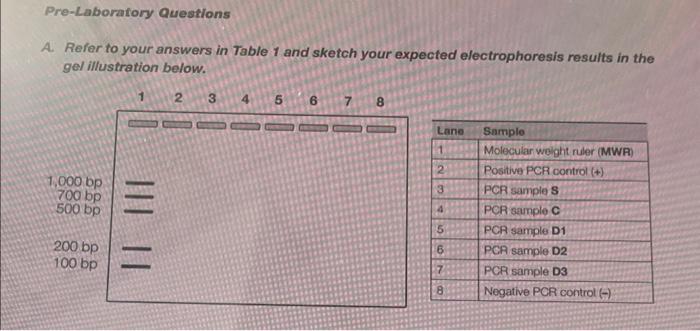 Solved Table 1. Predicted Results of Multiplex PCR. A. | Chegg.com