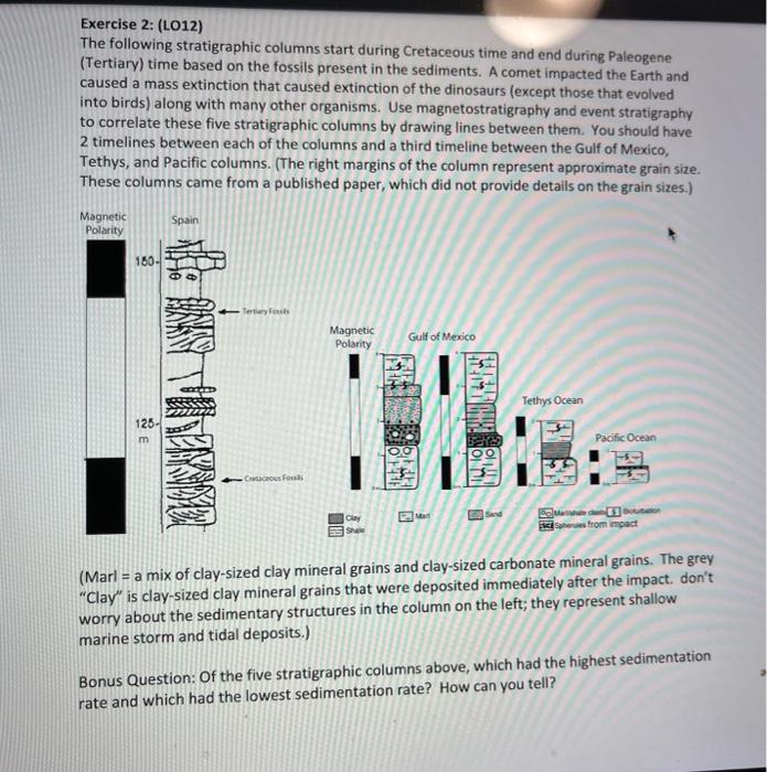 Solved Exercise 1: The following three stratigraphic columns | Chegg.com