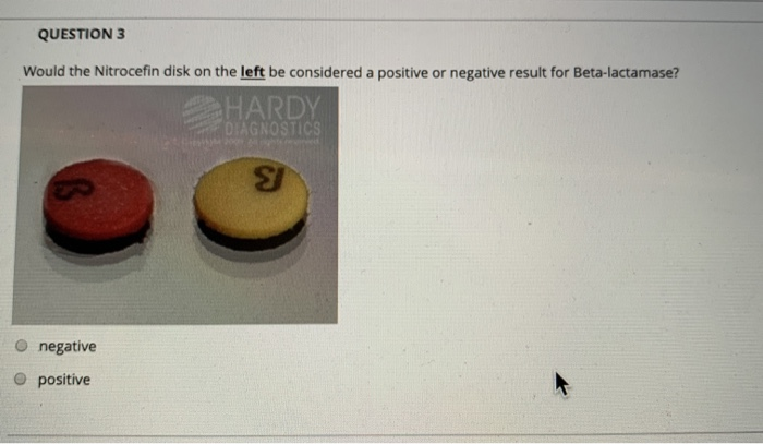 Solved QUESTION 3 Would the Nitrocefin disk on the left be | Chegg.com