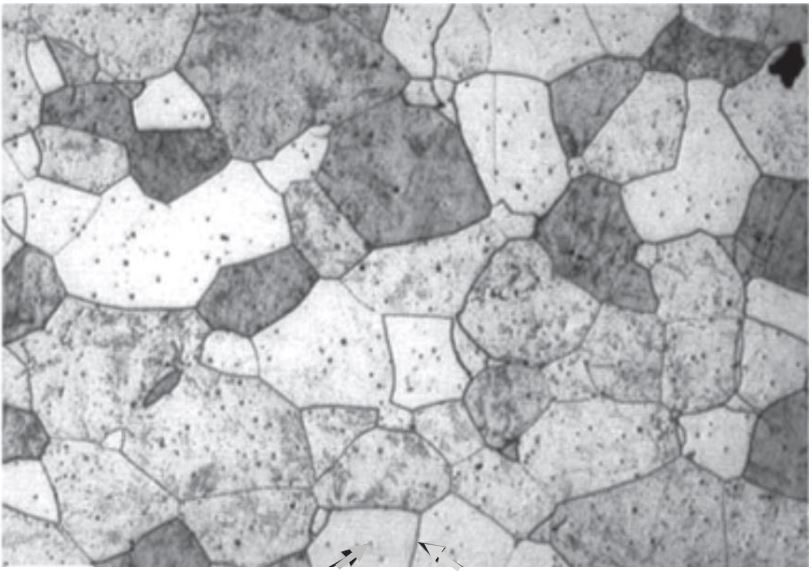Solved The microstructure of grains in a stainless-steel | Chegg.com