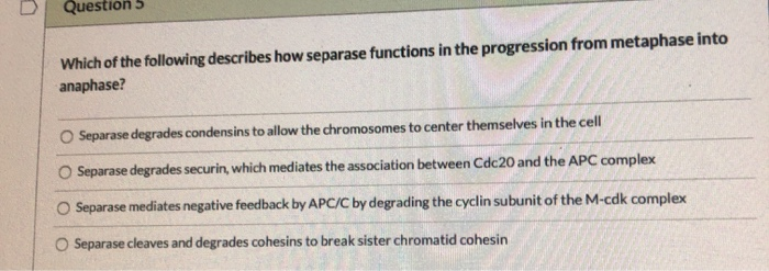 Solved Question 5 Which of the following describes how | Chegg.com