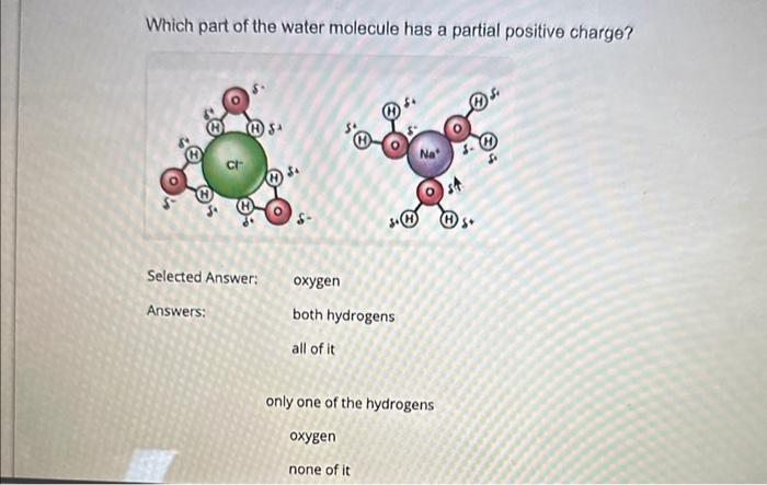 Solved Which part of the water molecule has a partial | Chegg.com