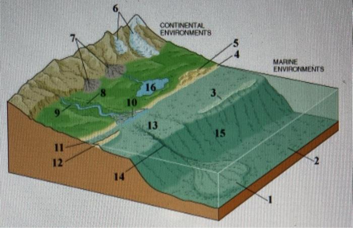 Submarine delta (abyssal fan) Lagoon 1. 1 Coastal | Chegg.com
