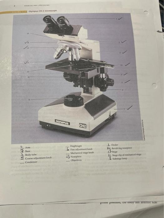 Solved EXTREM TELECH Olympus CH 2 microscope Vid OLYMPUS CH2 | Chegg.com