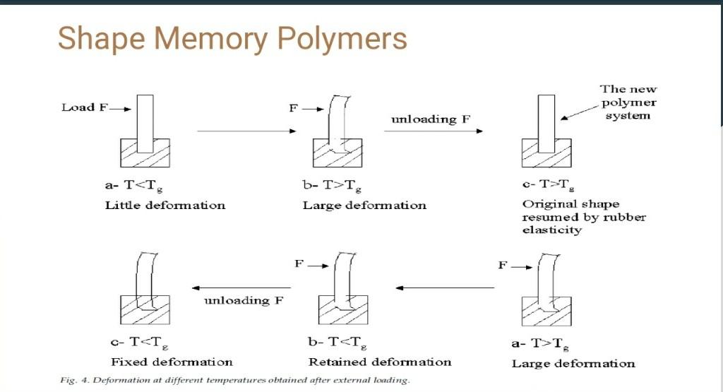 Solved Shape Memory Polymers | Chegg.com