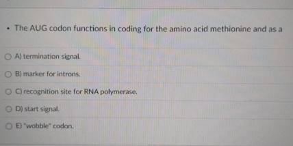 Solved The AUG codon functions in coding for the amino acid | Chegg.com