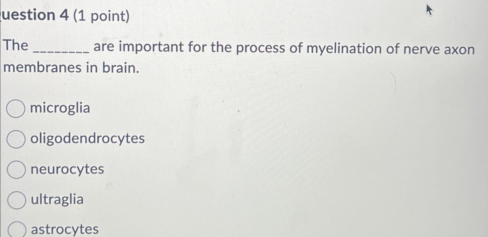 Solved uestion 4 (1 ﻿point)The are important for the process | Chegg.com