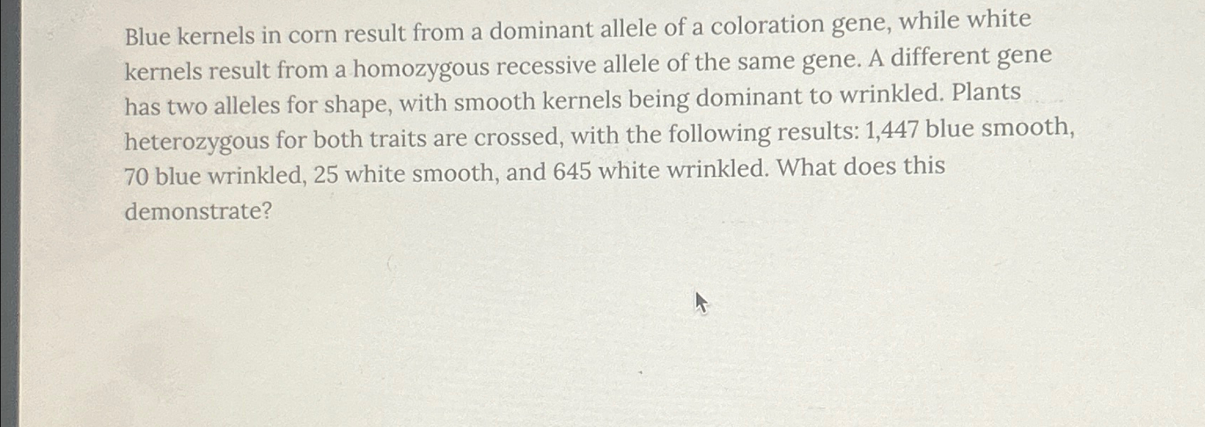 Solved Blue kernels in corn result from a dominant allele of | Chegg.com