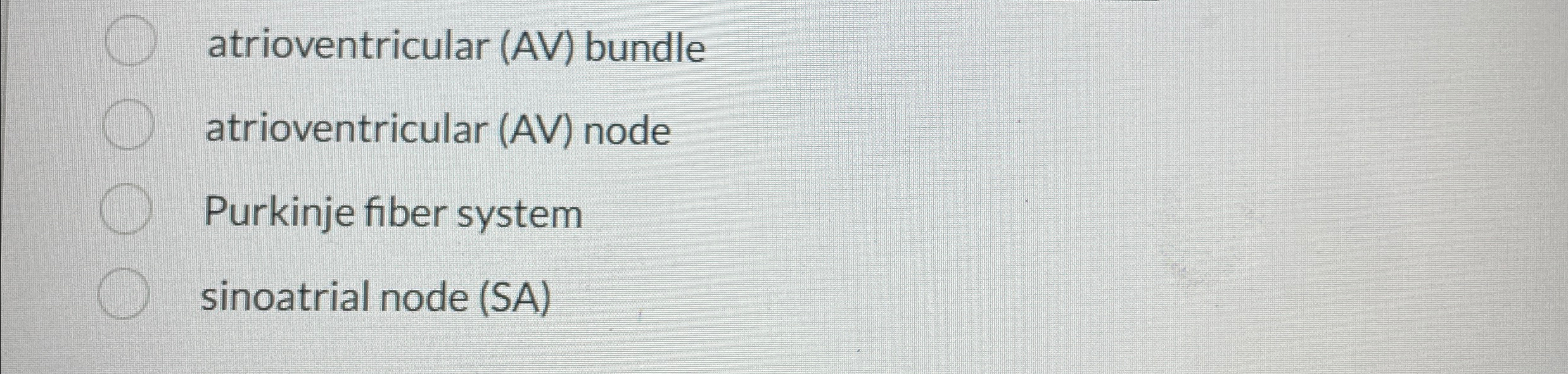 Solved atrioventricular (AV) ﻿bundleatrioventricular (AV) | Chegg.com