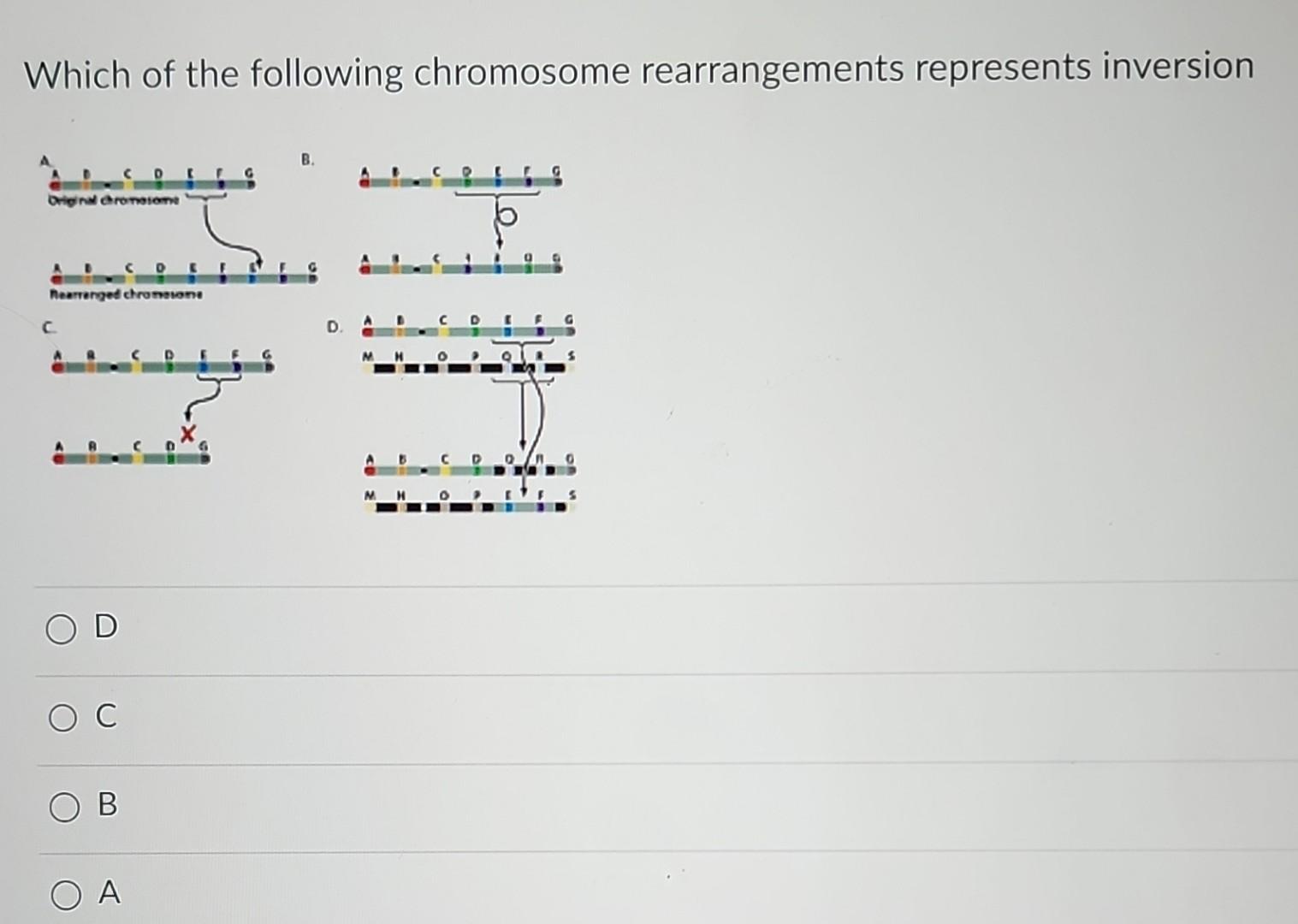 Solved Which of the following chromosome rearrangements | Chegg.com
