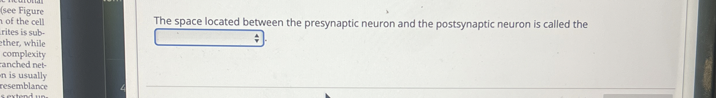 Solved The space located between the presynaptic neuron and | Chegg.com