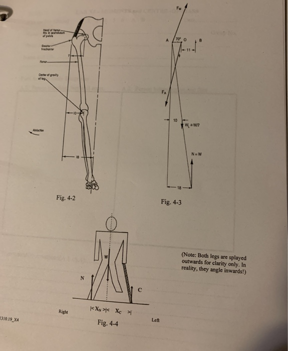D.2. Pelvis-femur force with cane Fig. 4-4 shows the | Chegg.com