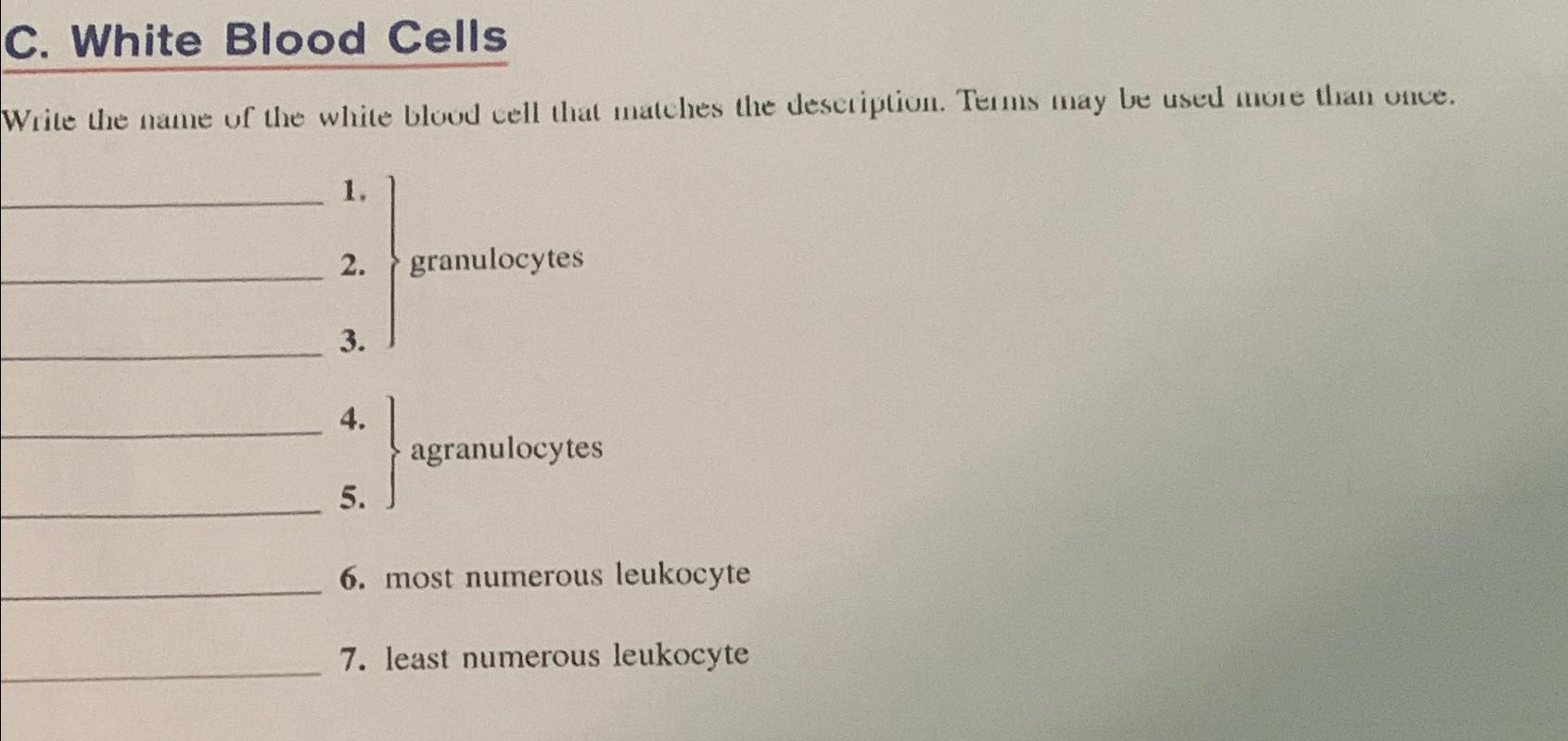 Solved C. ﻿White Blood CellsWrite the name of the white | Chegg.com