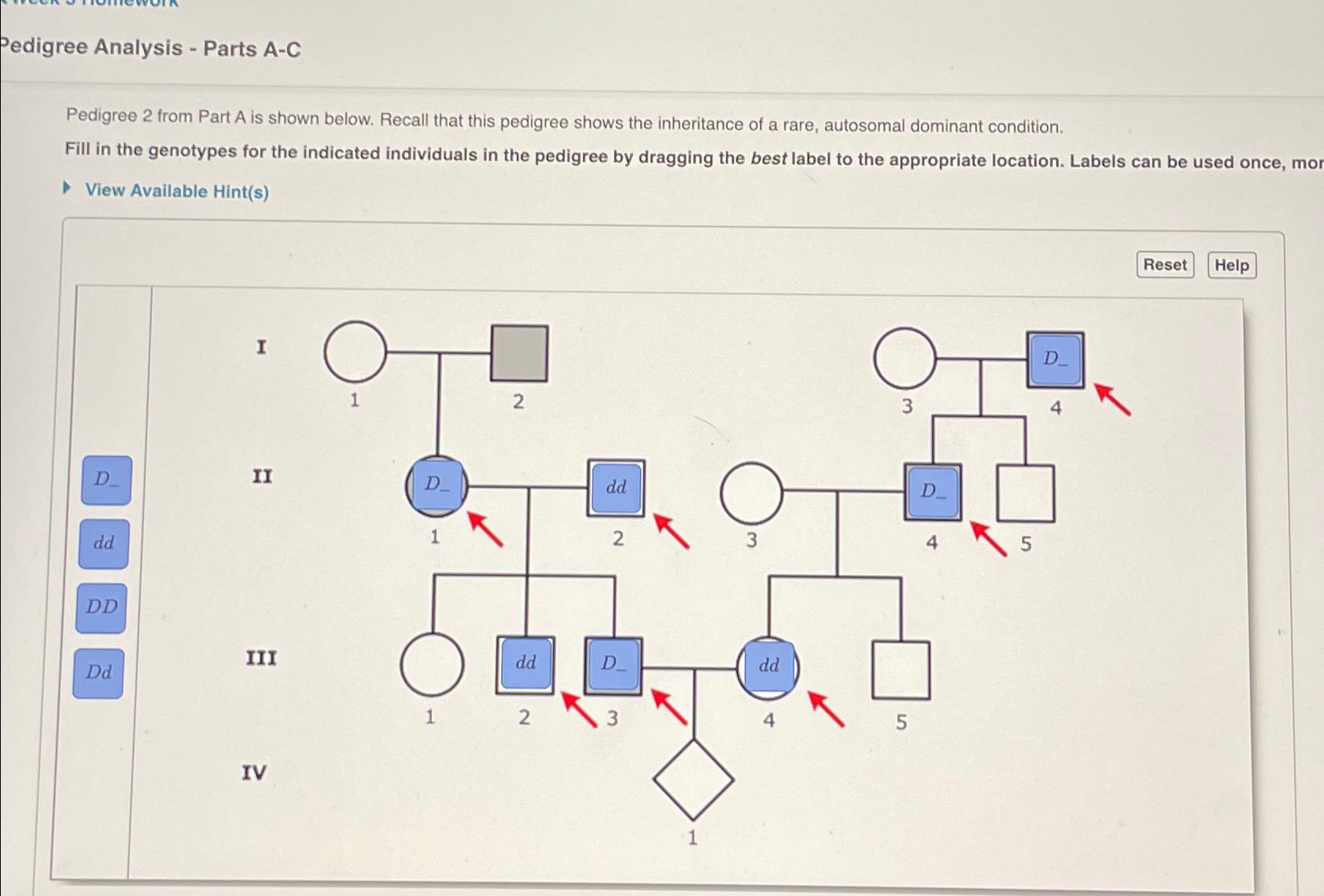 Solved Pedigree Analysis - ﻿Parts A-CPedigree 2 ﻿from Part A | Chegg.com