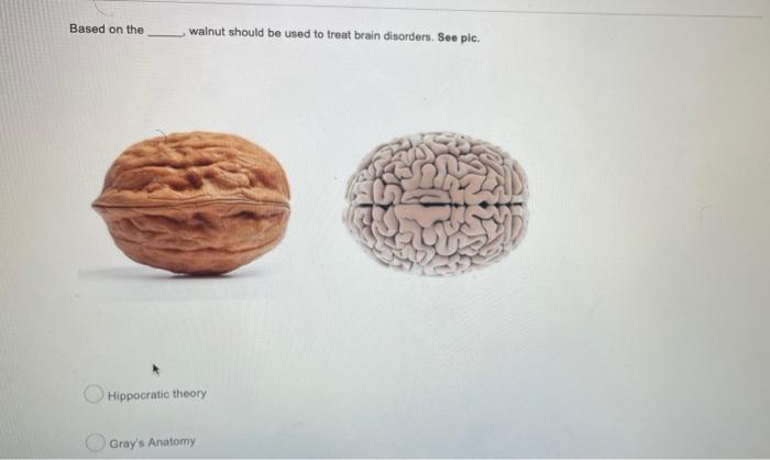 Solved Based on the walnut should be used to treat brain | Chegg.com
