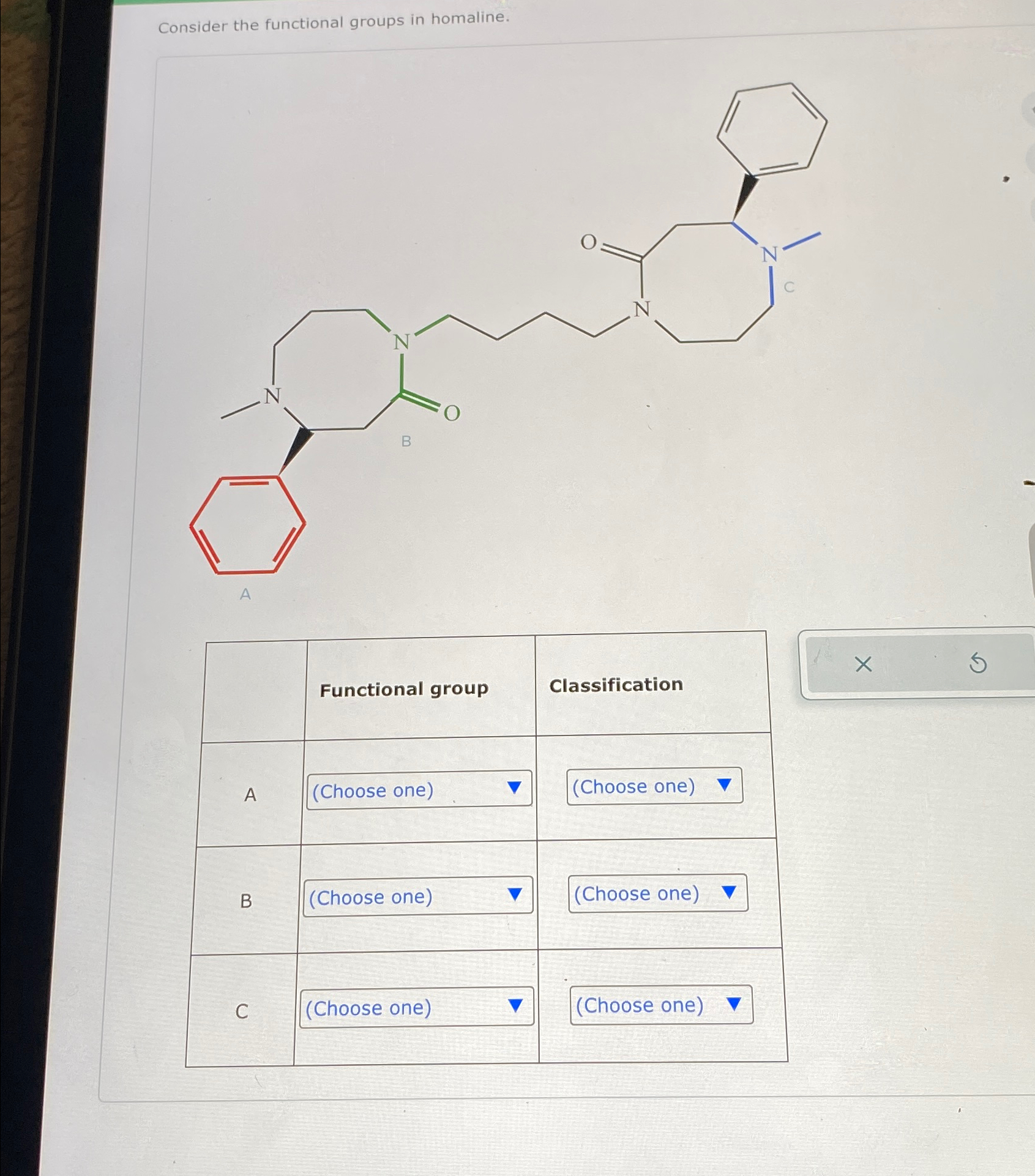 Solved Consider the functional groups in | Chegg.com