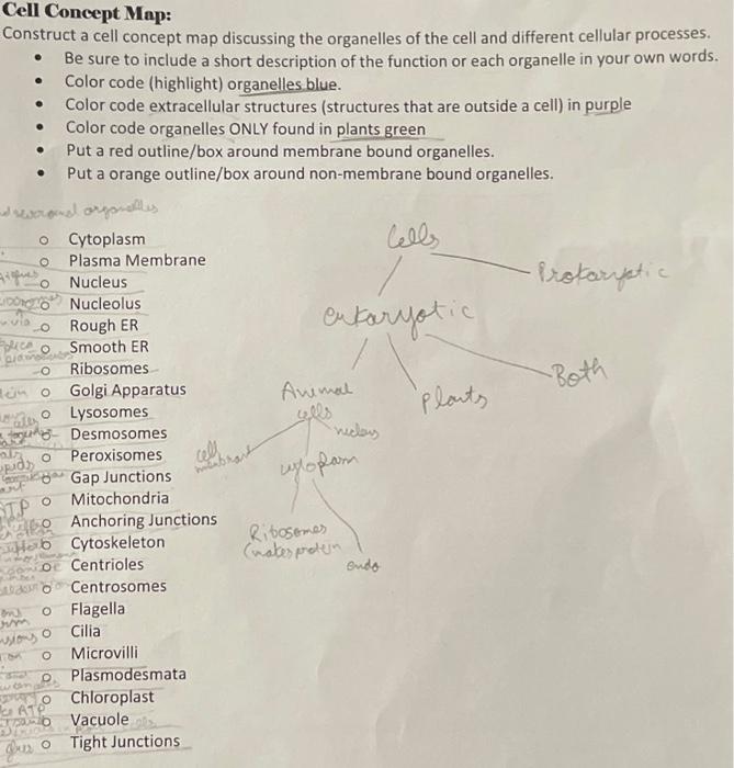 Solved pls make the concept map i have all the definations | Chegg.com