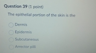Solved Question 39 (1 ﻿point)The epithelial portion of the | Chegg.com
