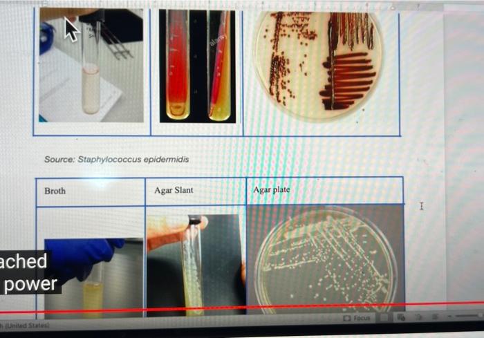 Solved i need to complete the table. the lab is there with | Chegg.com