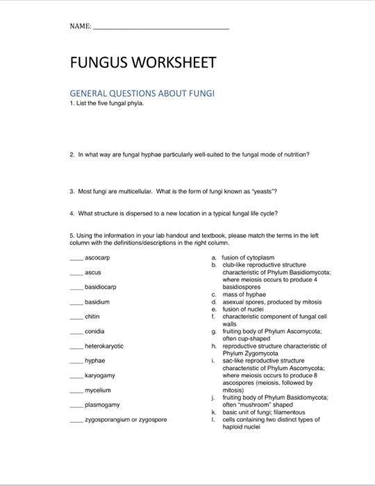Solved GENERAL QUESTIONS ABOUT FUNGI 1. List the five fungal | Chegg.com