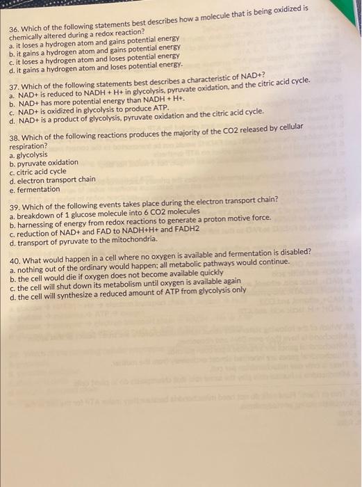 Solved 36. Which of the following statements best describes | Chegg.com