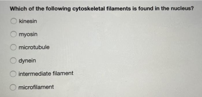 Solved Which of the following cytoskeletal filaments is | Chegg.com