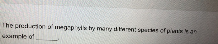 Solved The production of megaphylls by many different | Chegg.com