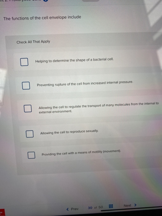 Solved The functions of the cell envelope include Check All | Chegg.com