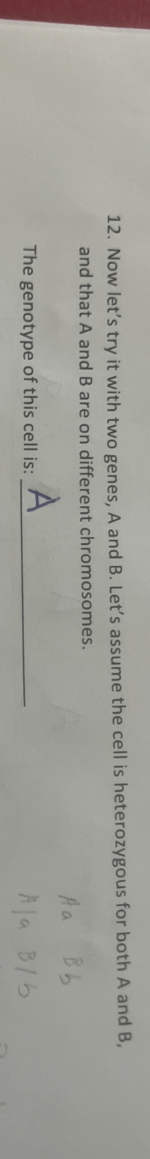 Solved Now let's try it with two genes, A and B. ﻿Let's | Chegg.com