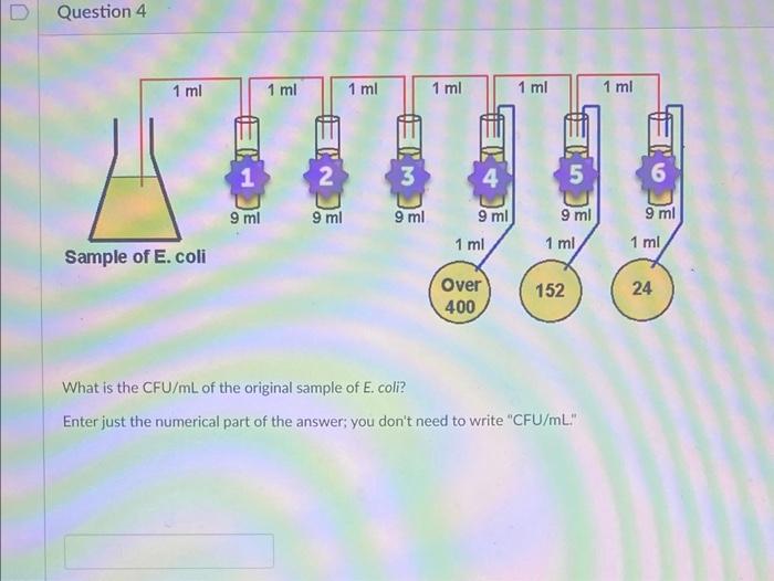 Solved What is the CFU/mL of the original sample of E. coli? | Chegg.com