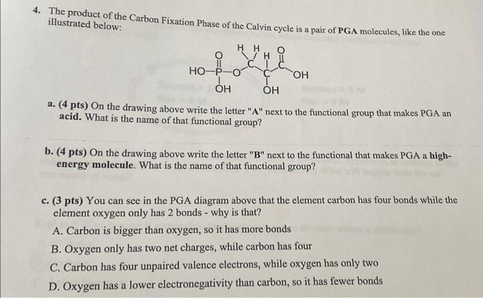 Solved 4. The product of the Carbon Fixation Phase of the | Chegg.com