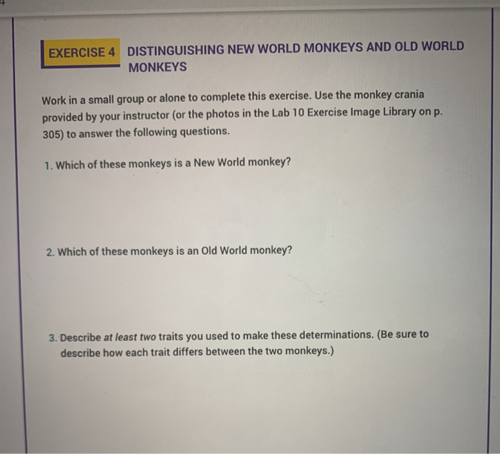 EXERCISE 4 DISTINGUISHING NEW WORLD MONKEYS AND OLD | Chegg.com