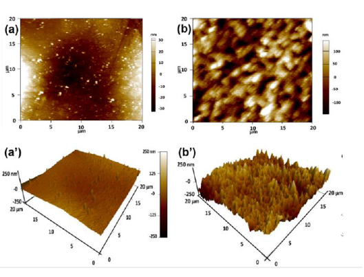 Solved The following figure shows (a-b) 2D and (a'-b') 3D | Chegg.com