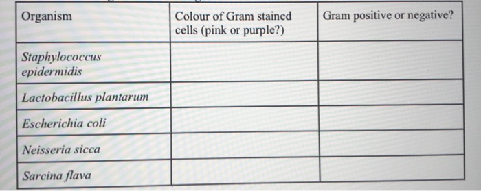 Solved Organism Gram positive or negative? Colour of Gram | Chegg.com