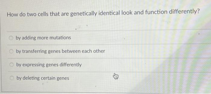 Solved How do two cells that are genetically identical look | Chegg.com