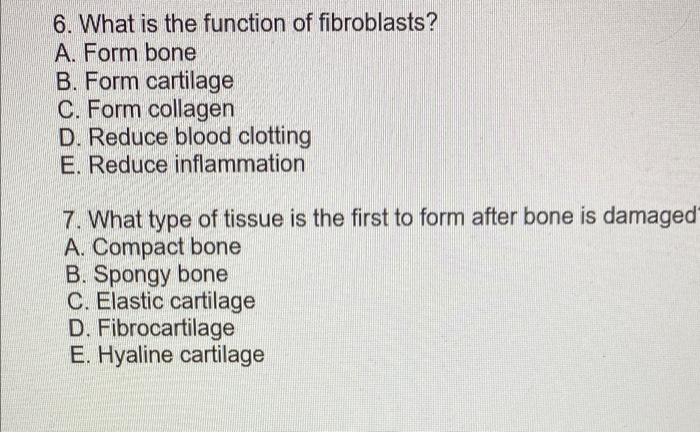 Solved 6. What is the function of fibroblasts? A. Form bone | Chegg.com