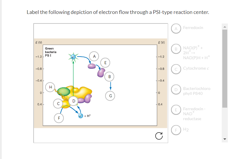 Label the following depiction of electron flow | Chegg.com