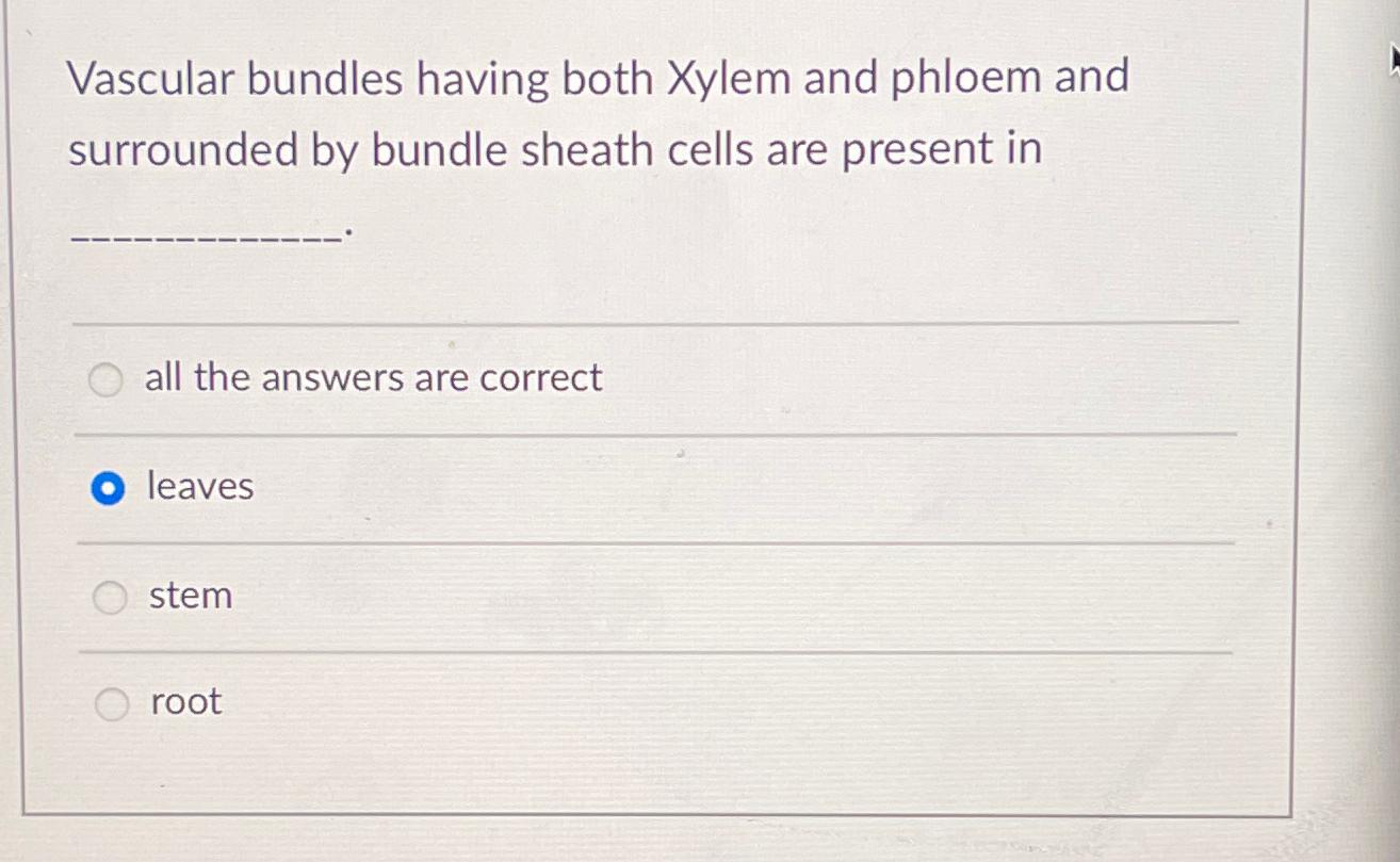 Solved Vascular bundles having both Xylem and phloem and | Chegg.com