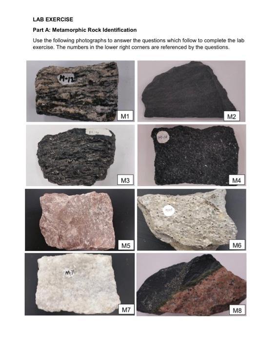 Solved LAB EXERCISE Part A: Metamorphic Rock Identification | Chegg.com