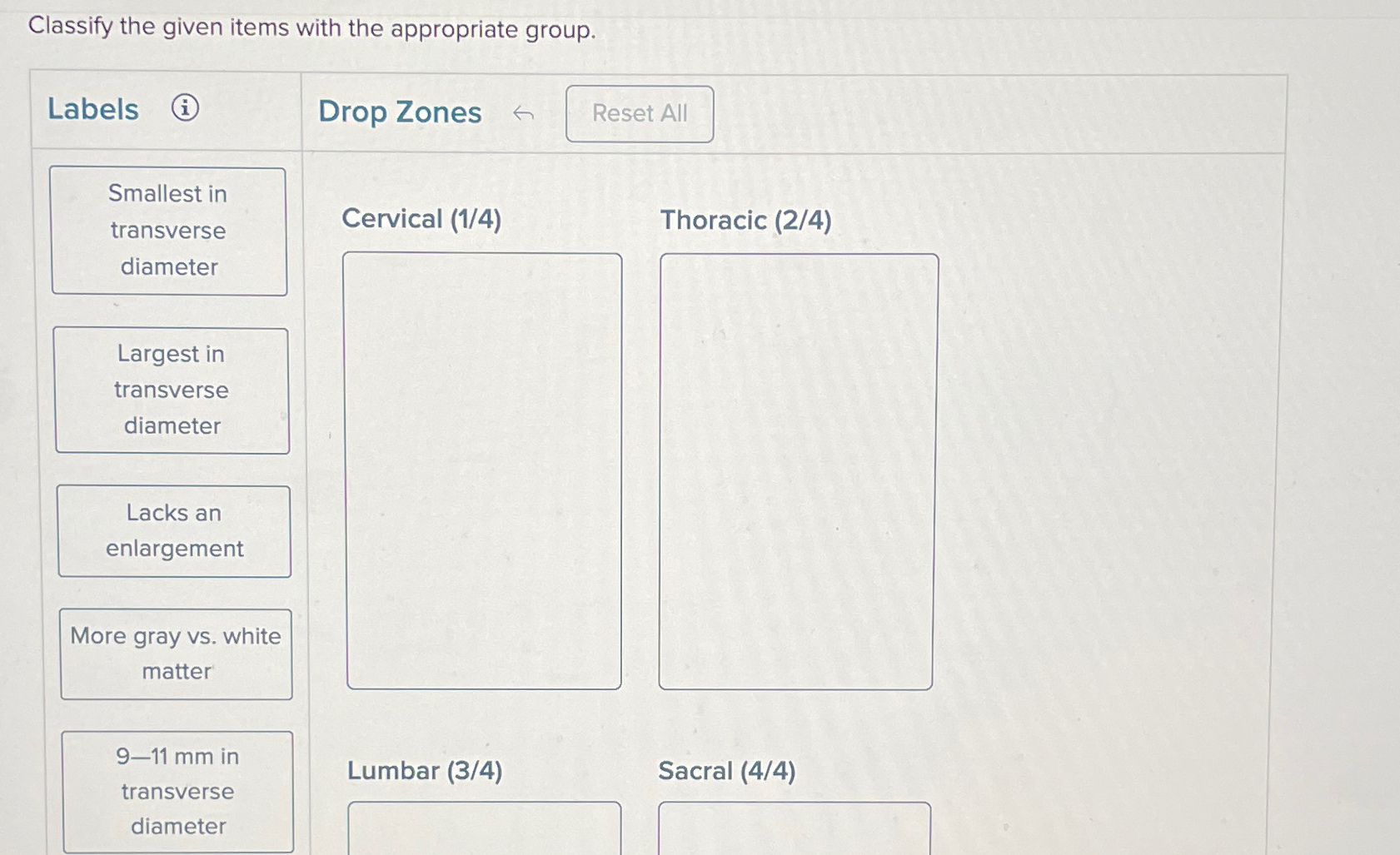 Solved Classify the given items with the appropriate | Chegg.com