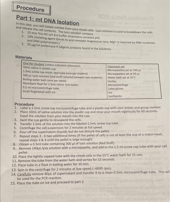 Solved Procedure Part 1: mt DNA Isolation In this step, you | Chegg.com
