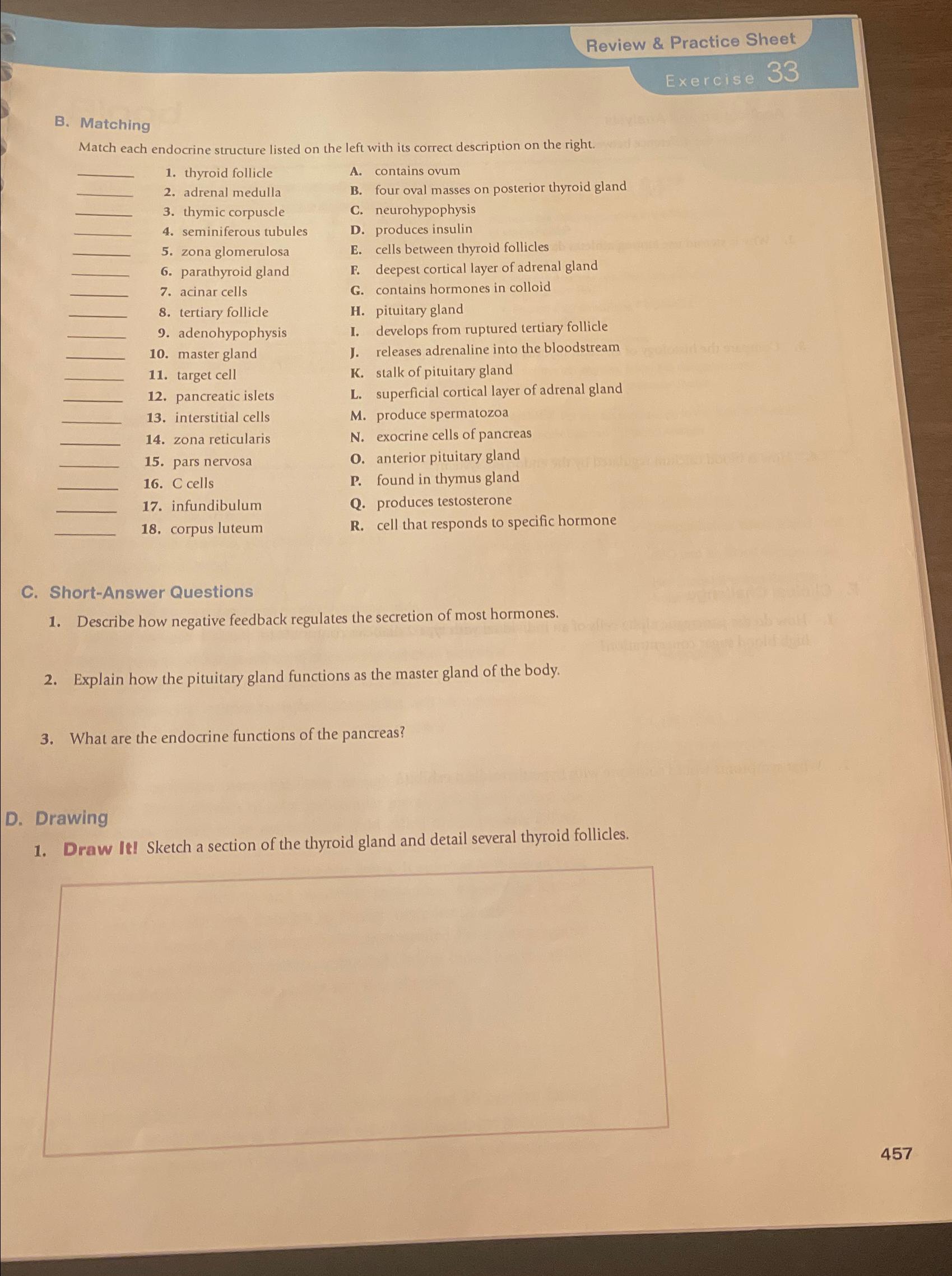 Solved Review & Practice SheetExercise 33B. ﻿MatchingMatch | Chegg.com