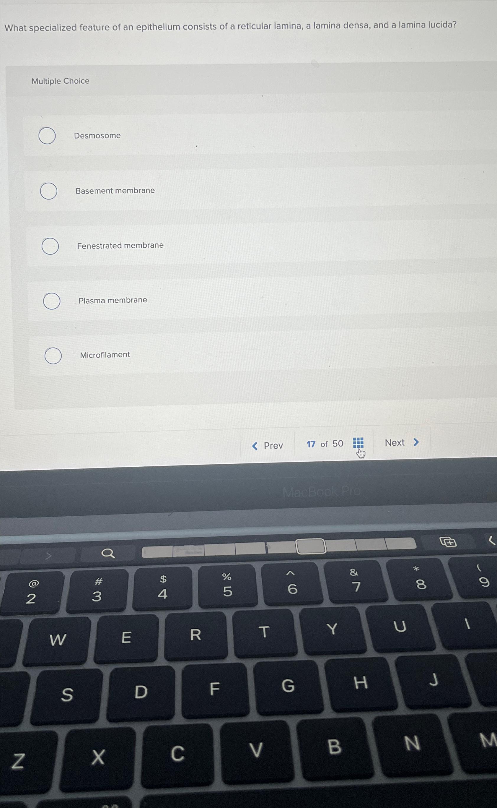 Solved What specialized feature of an epithelium consists of | Chegg.com