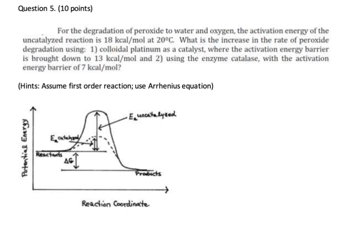 Solved Question 5. (10 ﻿points)For the degradation of | Chegg.com
