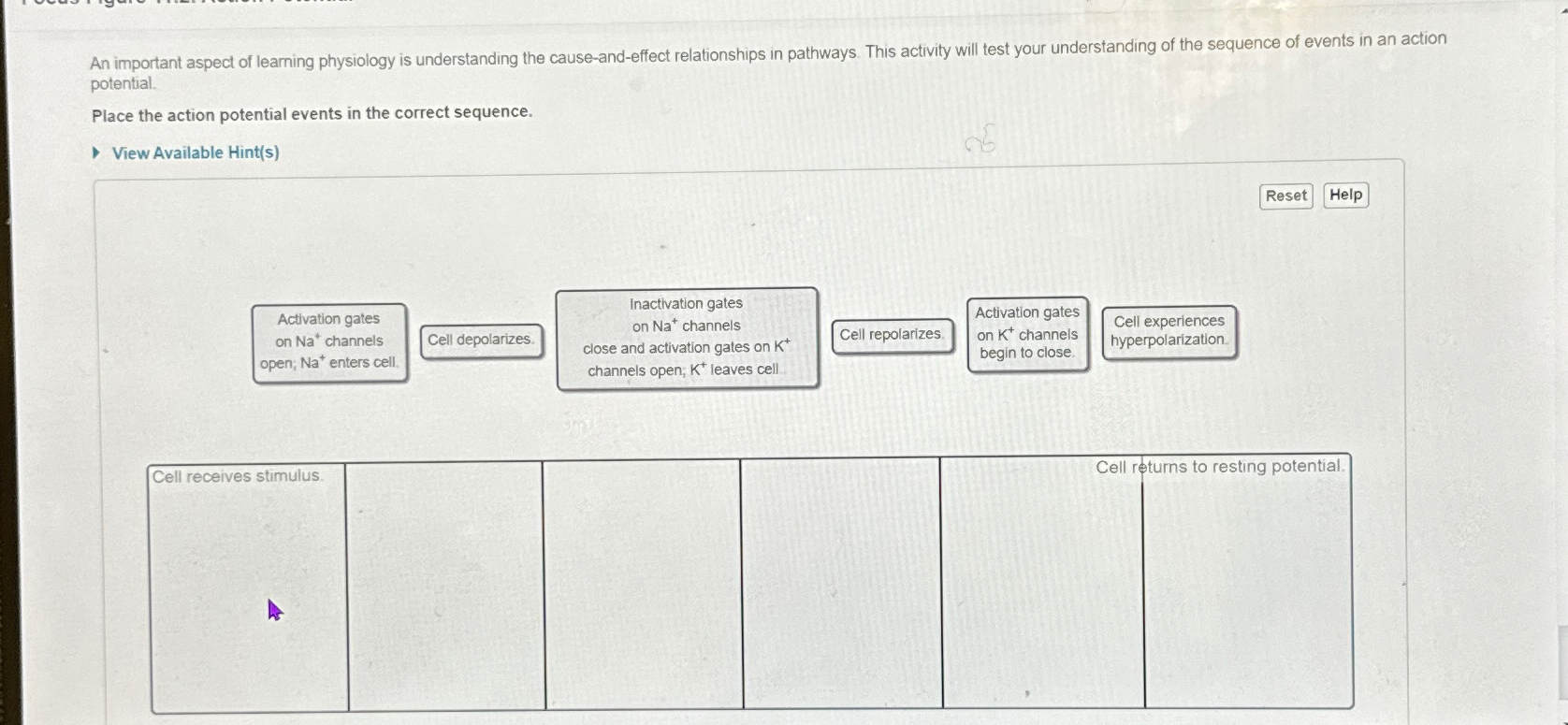 Solved potential.Place the action potential events in the | Chegg.com