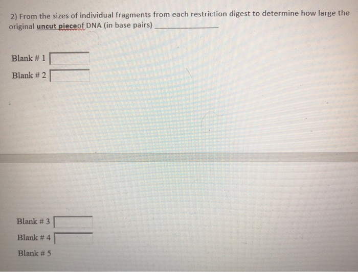 Solved The following Figure below shows Lambda DNA digested | Chegg.com