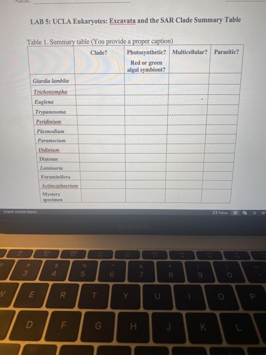 Solved LAB 5: UCLA Eukaryotes: Excavata and the SAR Clade | Chegg.com