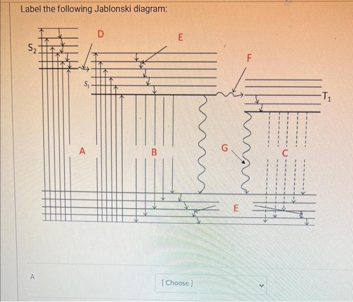 Solved Label the following Jablonski diagram: | Chegg.com