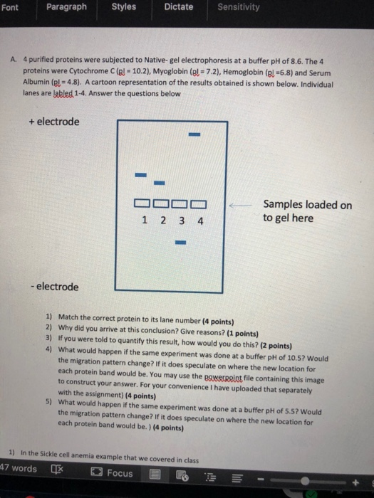 Solved Font Paragraph Styles Dictate Sensitivity A. 4 | Chegg.com